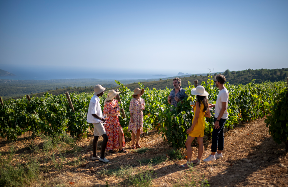 Azur Wine Tours à Puget-sur-Argens - Esterel Côte d'Azur